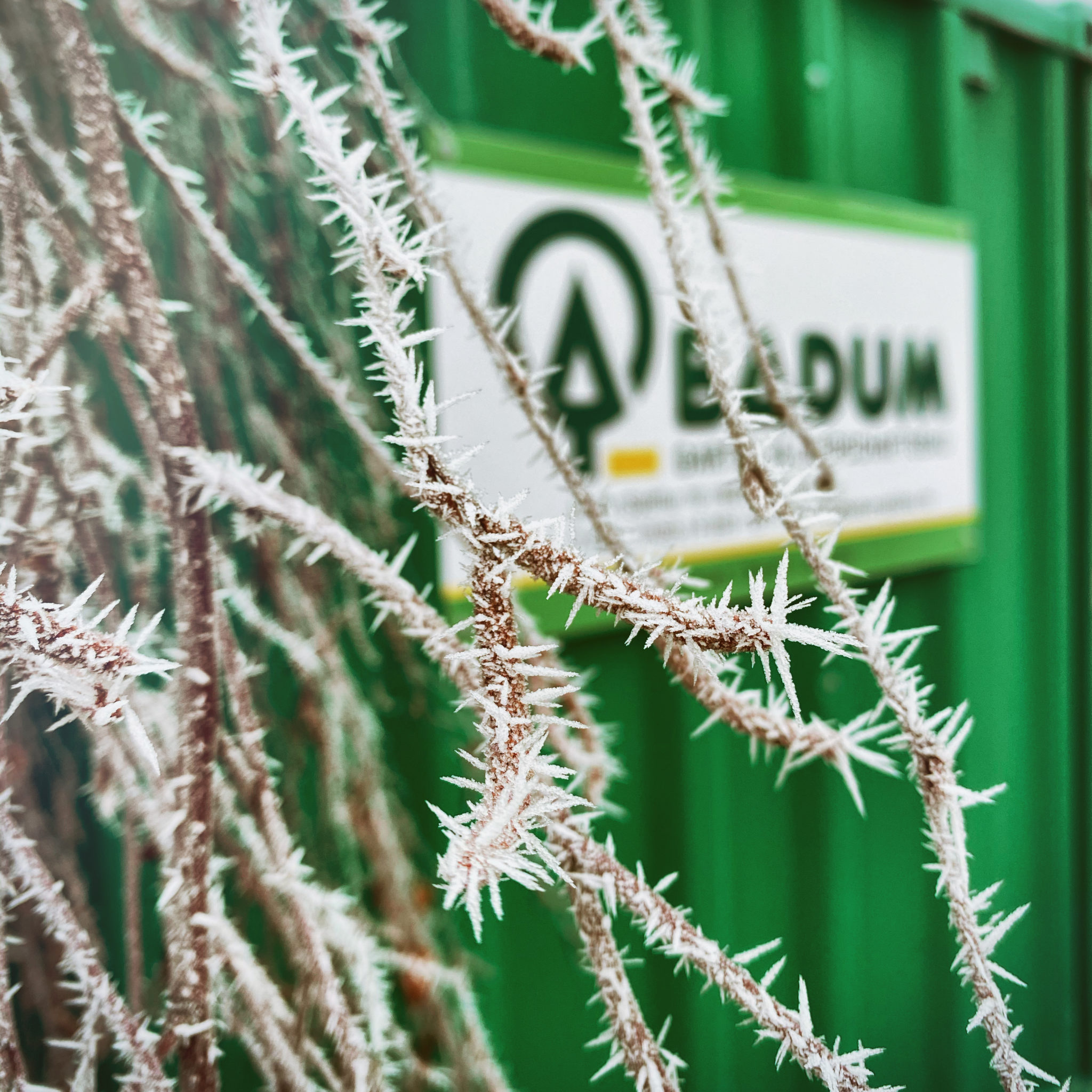 Unternehmen – Badum Garten- & Landschaftsbau :: Bamberg